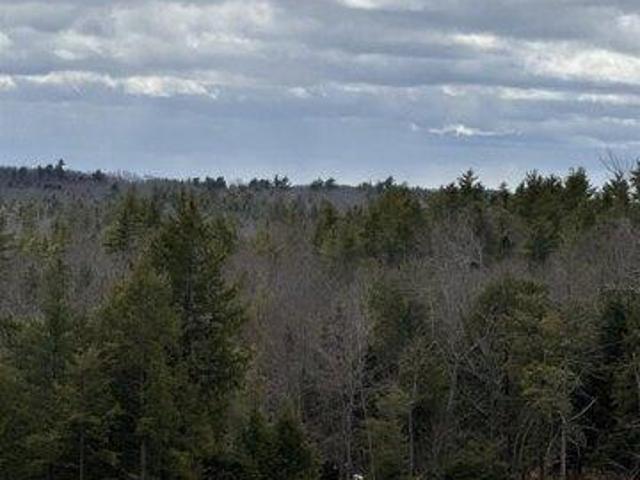 Candia NH 03034 LS102316359