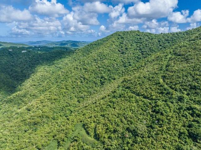Cane Bay Nb, Saint Croix, Plot For Sale