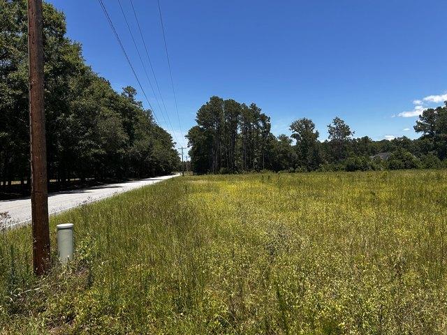 Cane Branch Rd, Walterboro, SC 29488