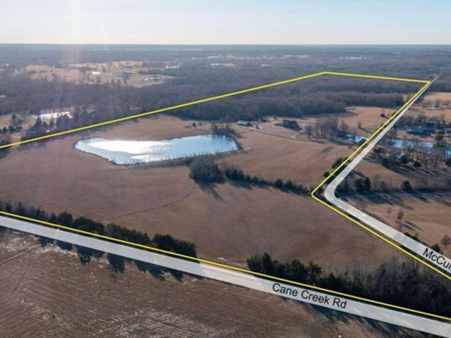 Cane Creek Rd Lot,flora, Plot For Sale