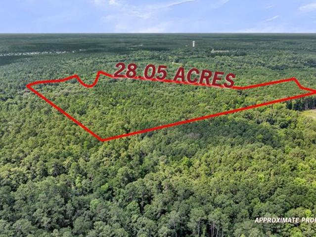 Canewood Ln, Ridgeville, SC 29472