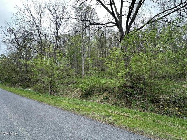 Caney Valley Rd, Bristol, Plot For Sale