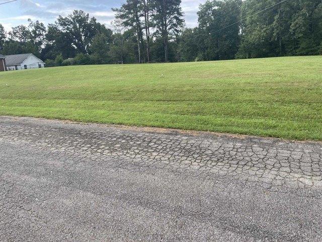 Caney Branch Rd Lot 34, Adamsville, TN 38310