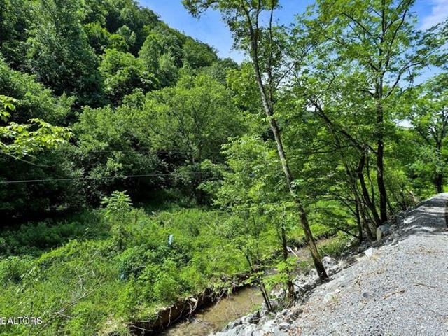 Caney Creek Rd, Pigeon Forge, TN 37863