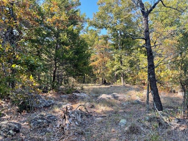 Caney Mountain Trl, Fort Towson, OK 74735