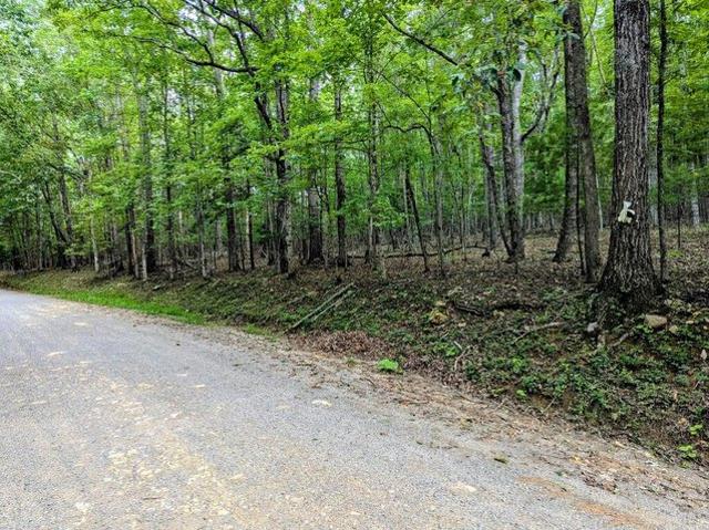 Cannady School Rd Lot 1, Floyd, VA 24091
