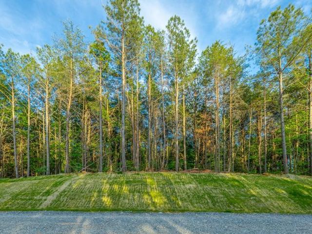 Cannon Way, Guild, TN 37340