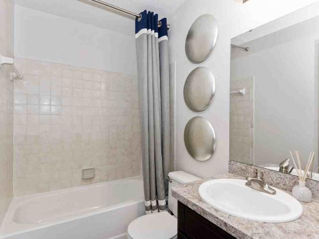 Canopy at Baybrook Apartments 1 Bedroom Apartment for Rent at 6609 Reafield Dr, Charlotte, NC 28226 Olde Providence South