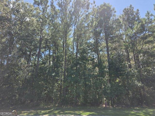 Canopy Ln Lot 143, Waverly, GA 31565