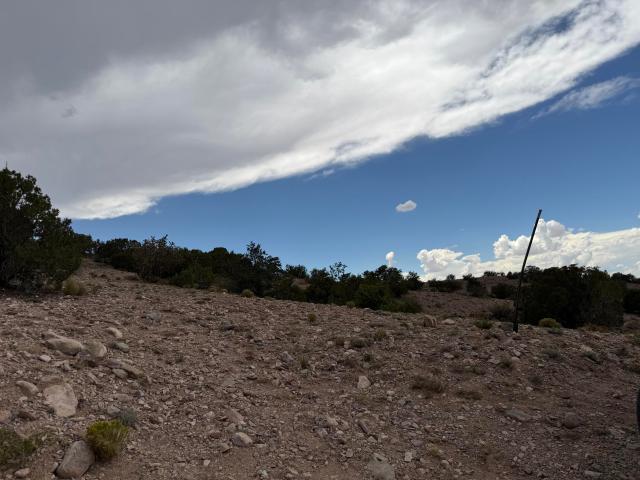 Caballo Palido