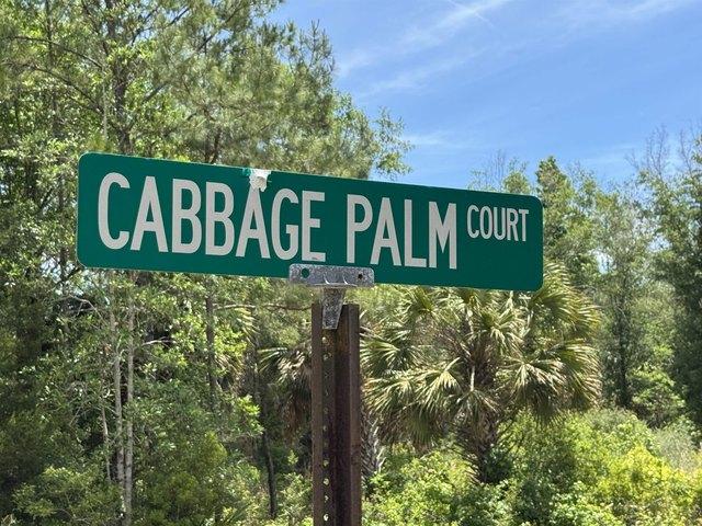 Cabbage Palm Ct, Saint Marks, FL 32355