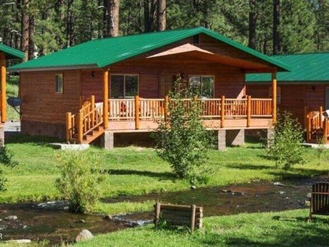 Cabin 95 Rohrer Rd, Greer, AZ 85927