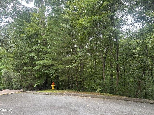Cabin Creek Way Lot 14, Sevierville, TN 37862