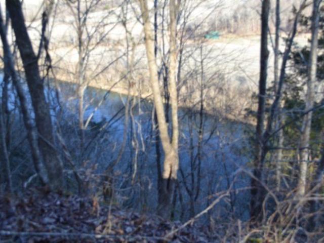 Cabin Hill Rd, Celina, TN 38551