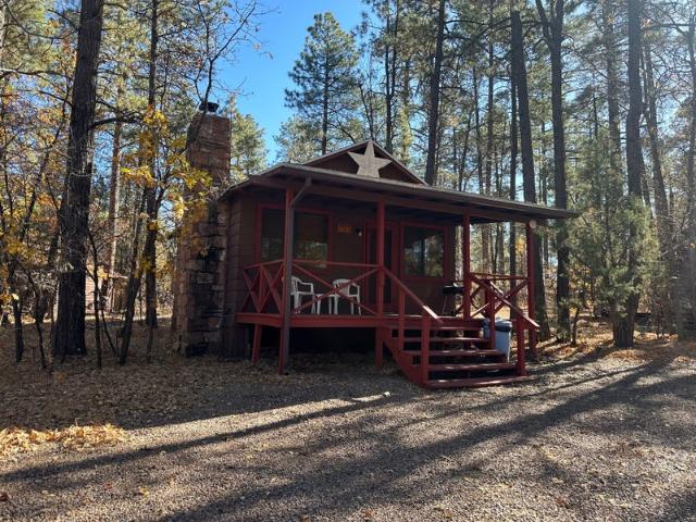 Cabin in the Pines
