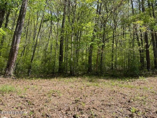 Cabin Rd, Speedwell, TN 37870