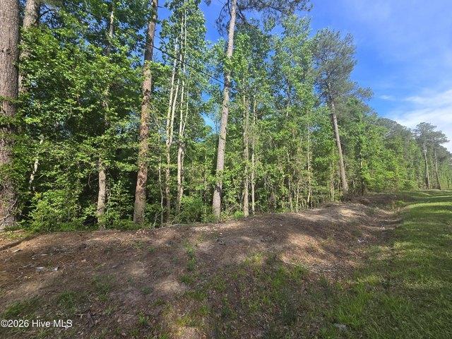 Cabins Creek Rd Lot 35 40, Vass, NC 28394