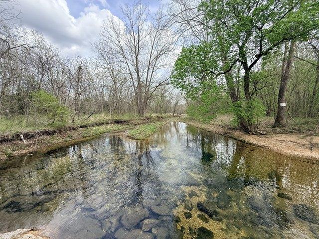 Cable Ridge Rd, Edwards, MO 65326