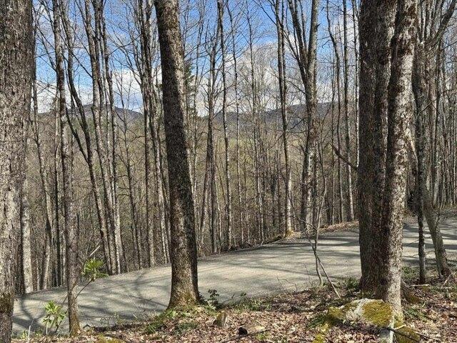 Cabot VT 05647 104605066