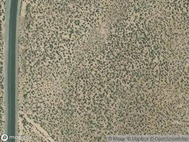 Cactus Ct