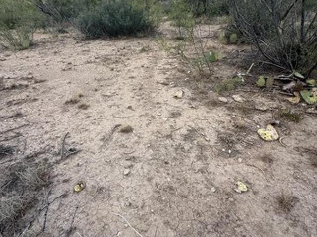 Cactus Rose Ln, Ozona, TX 76943