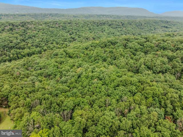 Cacapon Retreat Lane