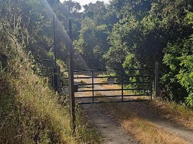 Cachagua Rd