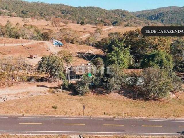 Cachoeira 60 metros à Venda próximo ao Município de Caldas Novas GO
