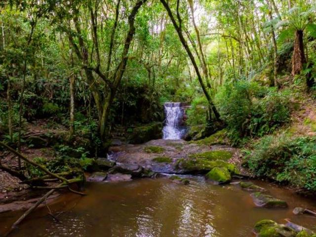 Cachoeira Privativa e Potencial Hídrico: 370.261 m² para quem enxerga além do comum – a 12 km do cen