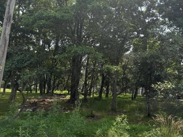 Caddo Ter, Albrightsville, PA 18210