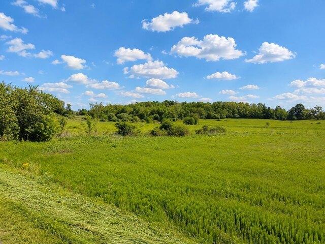 Cadieux Rd, Georgia, Plot For Sale
