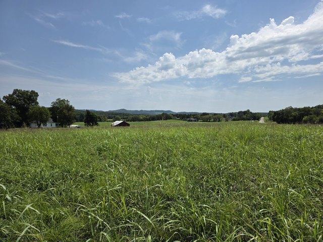 Cainsville Rd, Lebanon, TN 37087