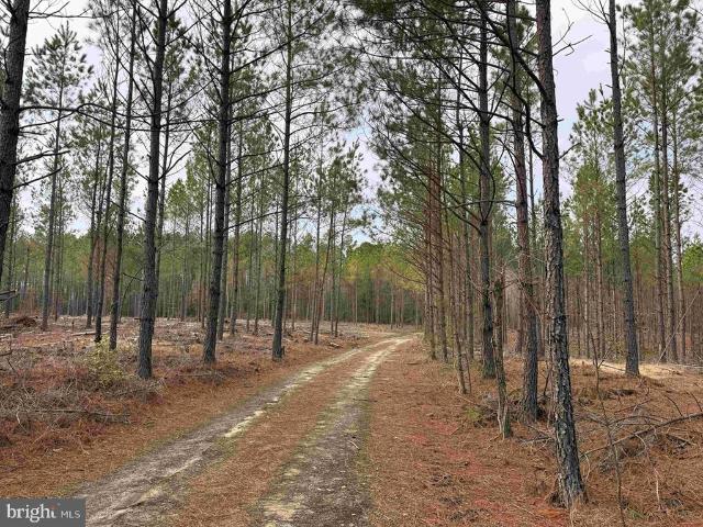Calvary Church Road Tract: Tanager Et2 2011