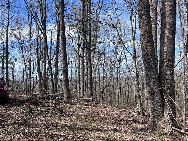 Calvary Way Lot 103 4, Laurel Fork, VA 24352