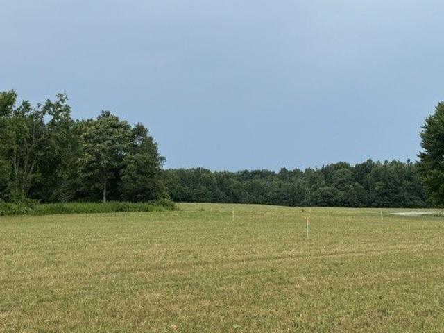 Cal Durham Rd, Bethpage, TN 37022