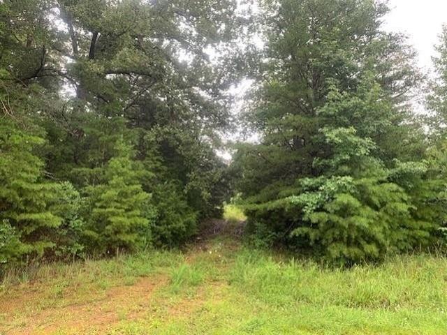 Cal Hamby Rd, Saint Charles, KY 42456