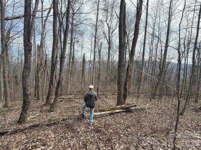 Caldwell Mountain Rd, Hot Springs, NC 28743