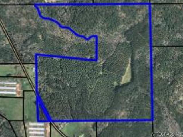 Caldwell Rd, Samson, AL 36477