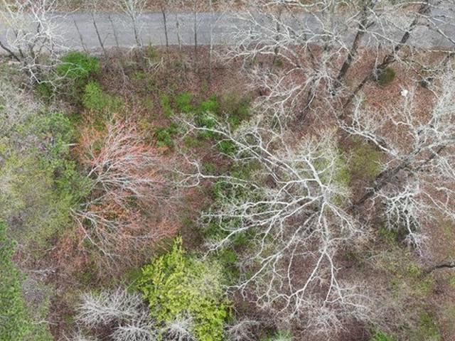 Calfee Ln SE Lot 45, Cleveland, TN 37323