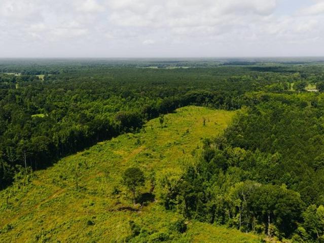 Calhoun Ln, Forest, MS 39074