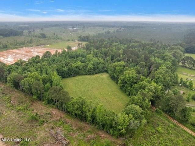 Calhoun Ln, Forest, MS 39074