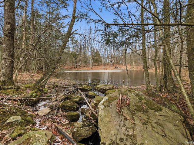 California Ave, Liberty, NY 12754 | MLS #968992