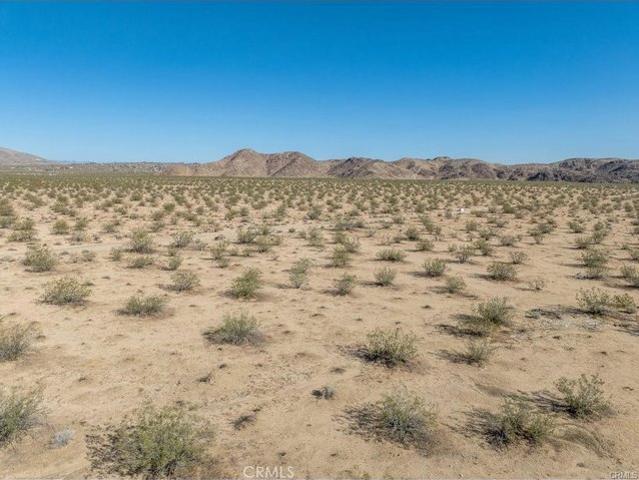 California, Joshua Tree, CA 92252