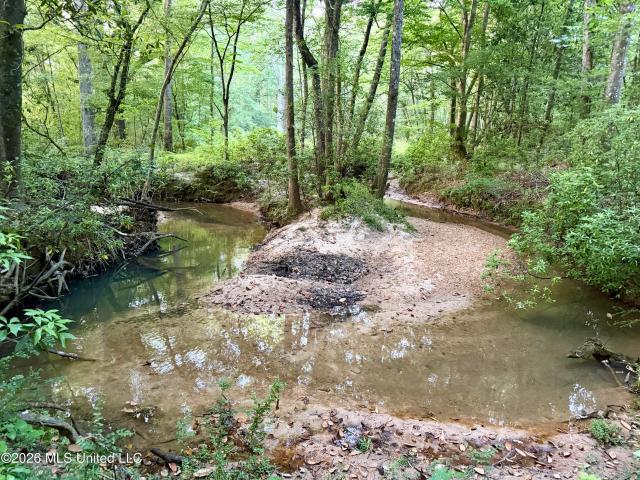 California Rd, Brookhaven, MS 39601