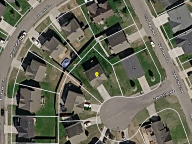 Calla Lilly Ln