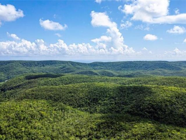 Calle,yauco, Plot For Sale