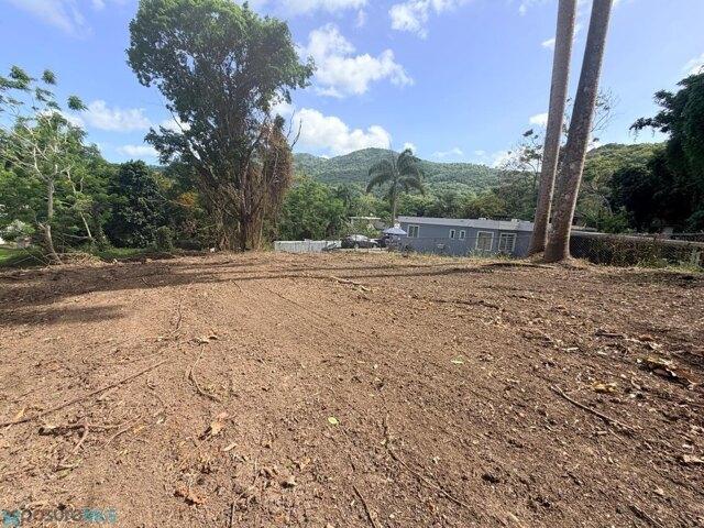 Calle A Unit B, Rio Grande, Plot For Sale