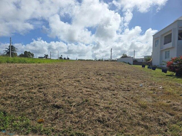 Calle Andres Irizarry Quionez Unit,isabela, Plot For Sale