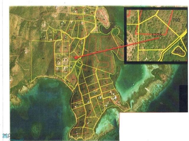Calle Bahia Mosquito, Culebra, Plot For Sale