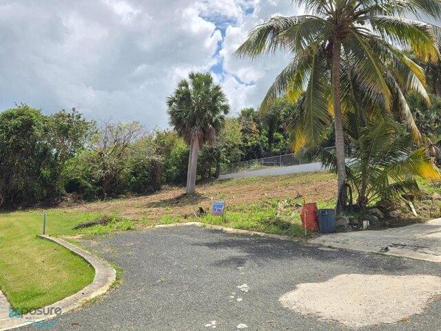 Calle Barbosa, Isabela, Plot For Sale